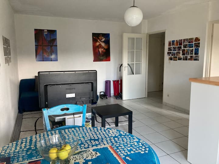 Appartement T2 Proche Airbus à Toulouse - Toulouse