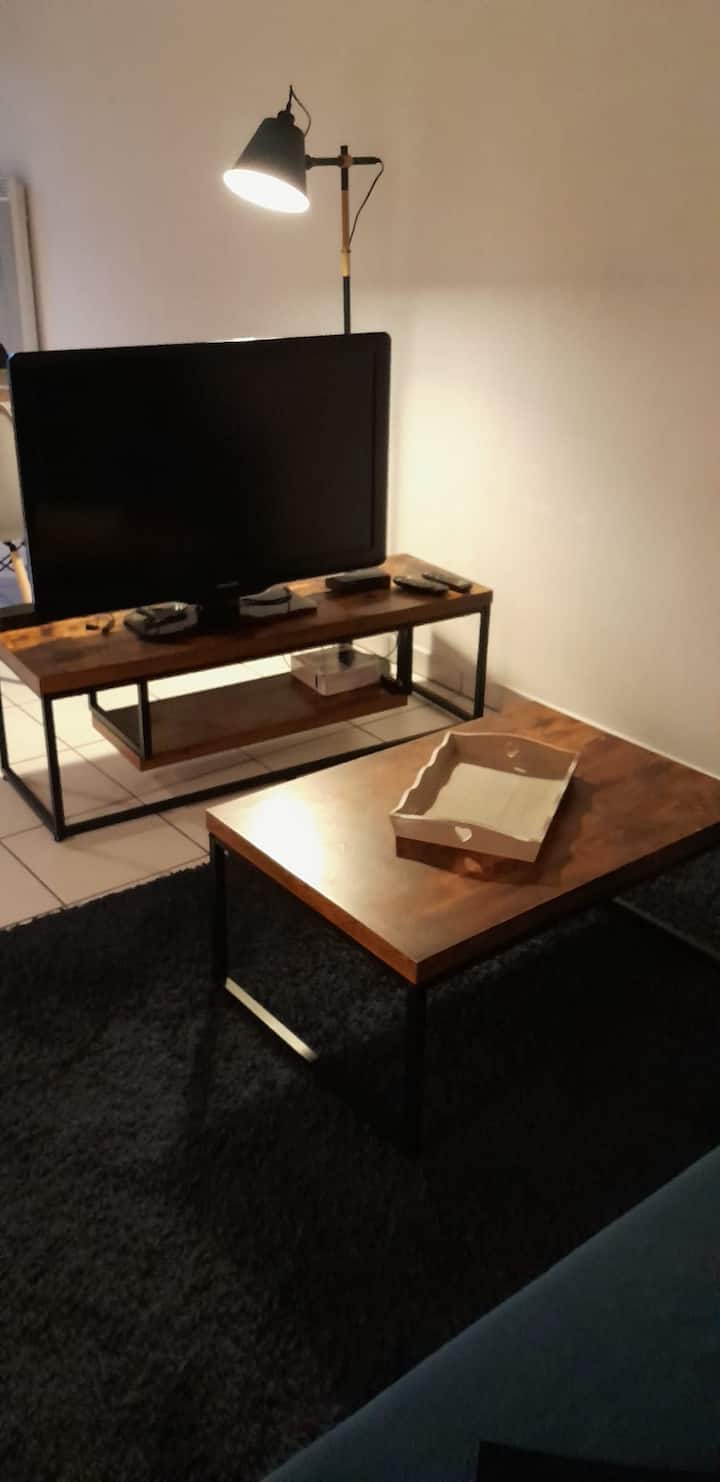 Appartement T2 Proche Airbus à Toulouse - Tournefeuille