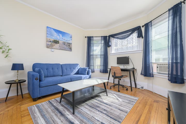 Spacious 1 Bedroom Near Colleges, Dcu+parking - WPI, Worcester