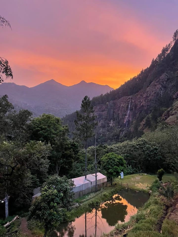 Pekoe Bungalow - Bambarakanda - Sri Lanka