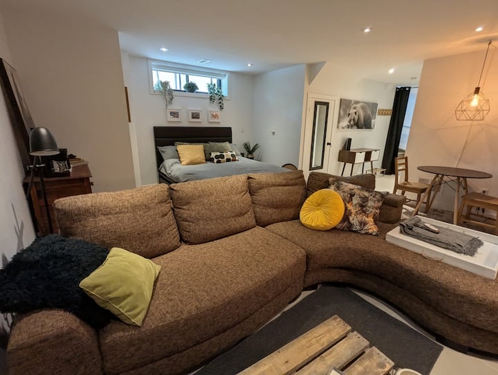 Large Basement Studio With Separate Entrance - Toronto
