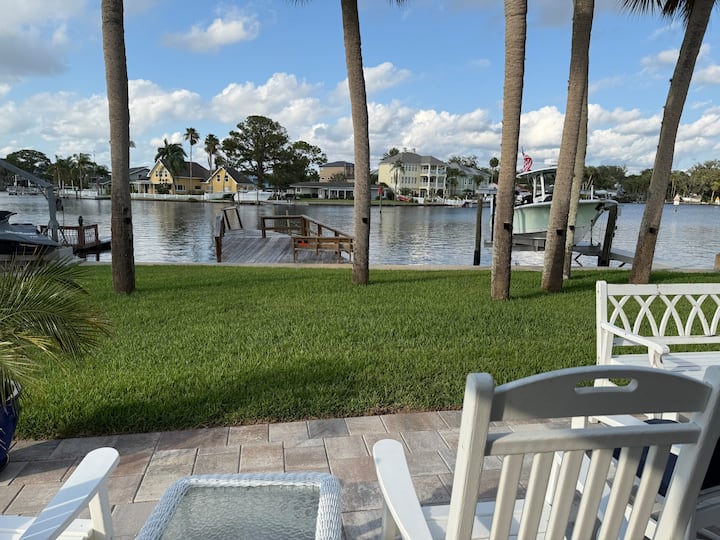 Waterfront Elegance-dolphins-rambler-cotee River - New Port Richey, FL
