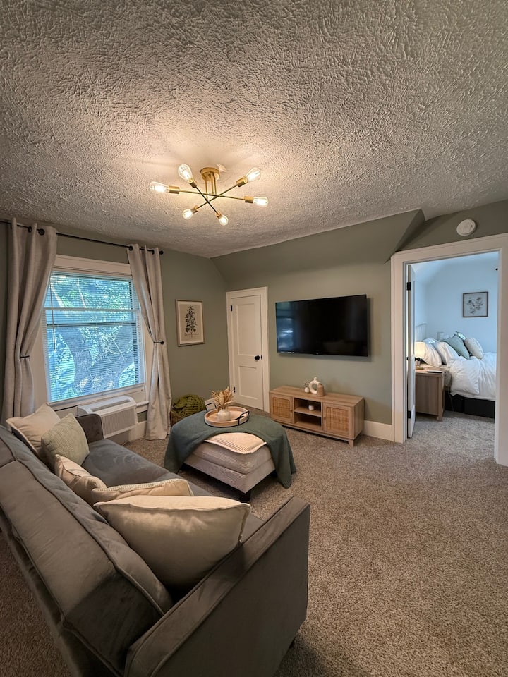 Casa Caledonia: Historic Gem In Walkable Creston - Grand Rapids, MI