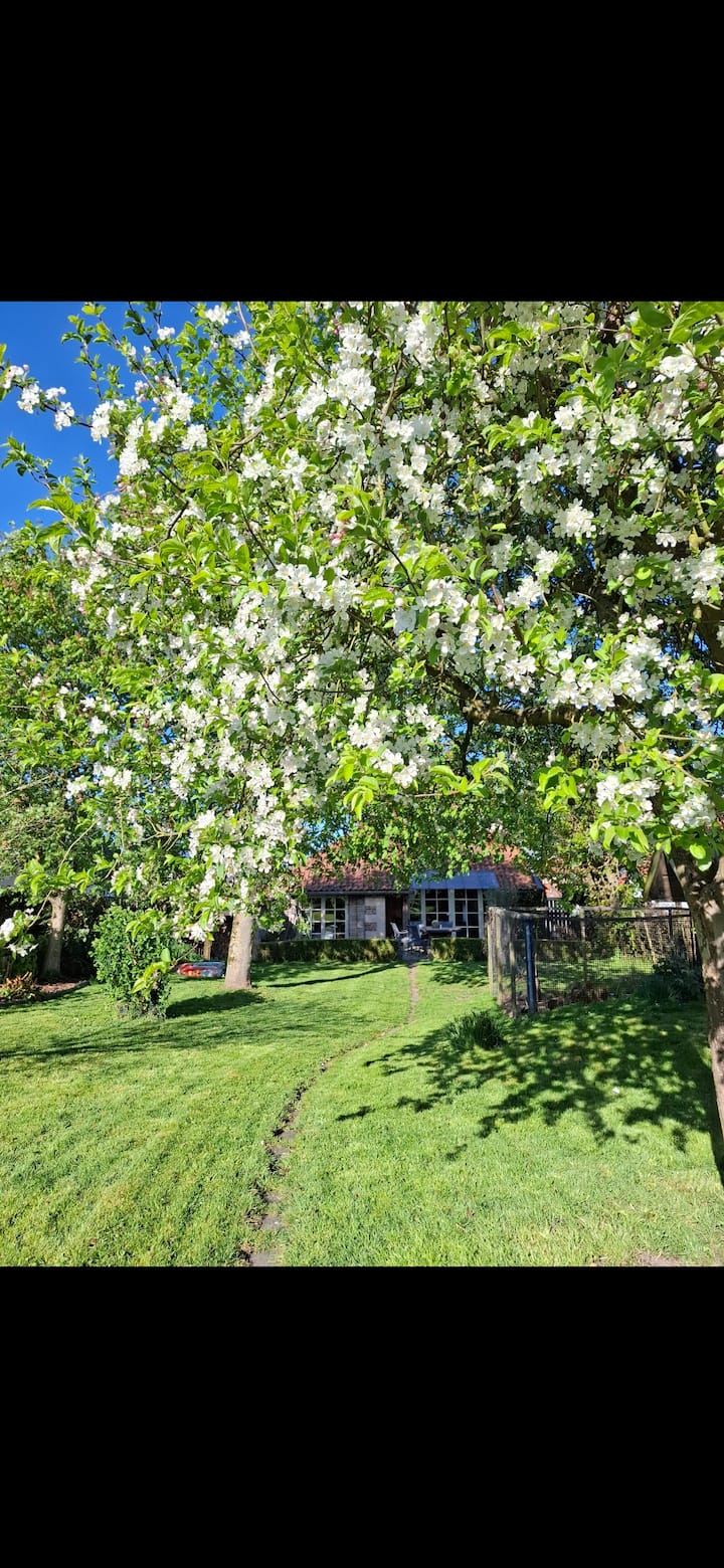 Charmant Vakwerkhuis In Hoeselt - Tongeren