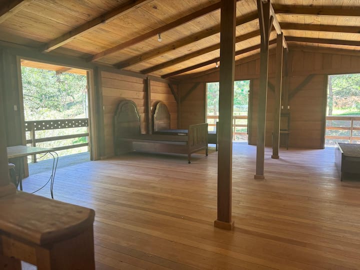 Cabana Rústica Em Reserva Particular - São Bento do Sul
