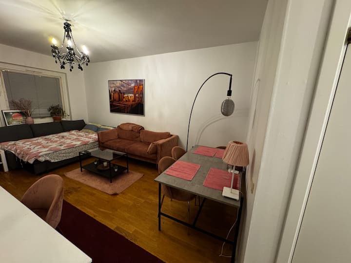 Comfortable Living Near City Center - Linköping