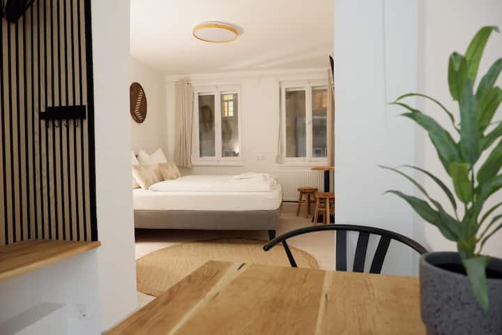 Apartment Zentral Tübingen - Tübingen