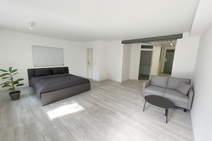 Modernes 52 Qm Studio Mit Garten, Sauna & Gym - Würzburg