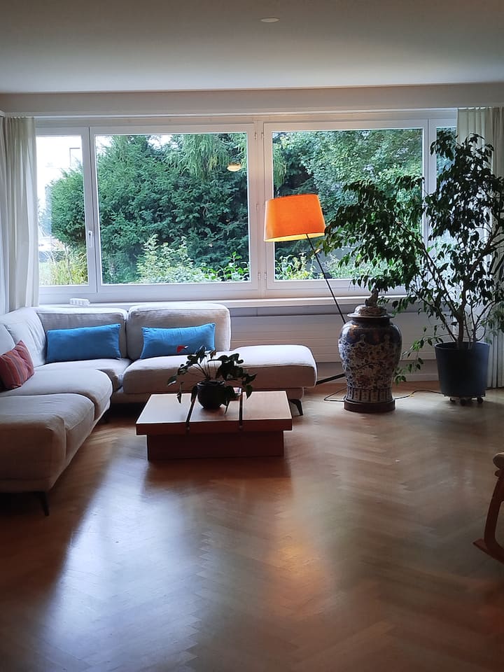 Luxus Duplex In A Good Green Area Near The Center. - Zürich