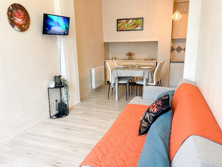 Le P'tit Carnot - Centre Ville*wifi*rdc - Le Puy-en-Velay
