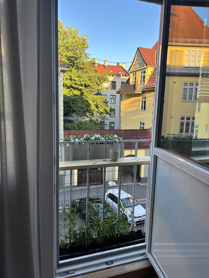 Studio Apartment With French Balcony - Oslo