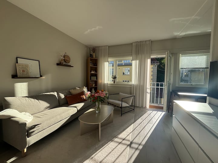 Studio Apartment With French Balcony - Oslo