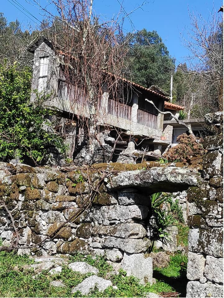 Alojamento - Canastro Do Loureiro, Vieira Do Minho - Vieira do Minho