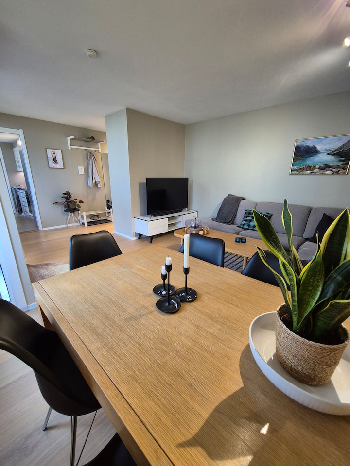 Apartment In Bislett - Oslo