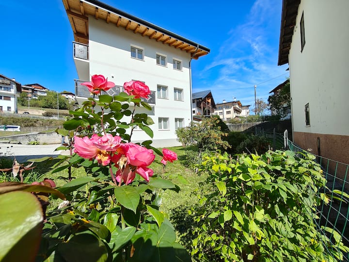 La Casa In Montagna - Vacanze Nelle Dolomiti - Pieve di Cadore
