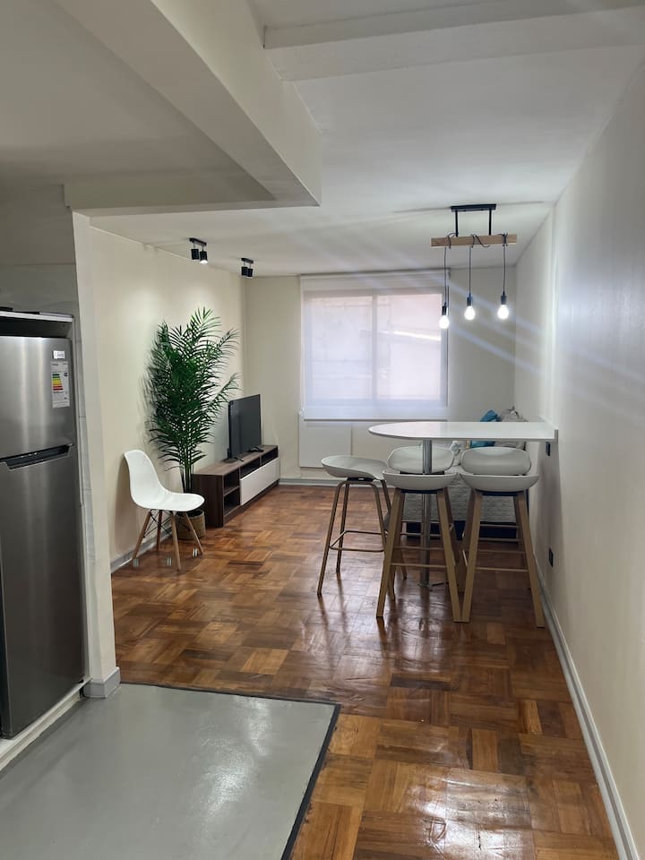 Acogedor, Amplio Y Luminoso Departamento - Providencia