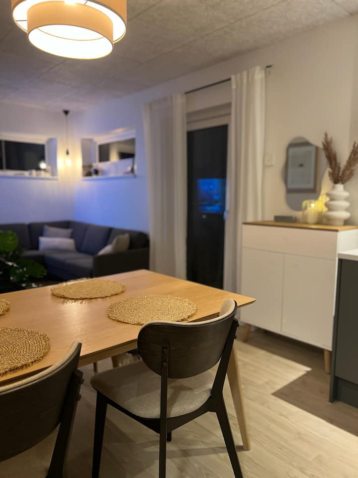 Cozy Modern 2-room Apartment - Greenland