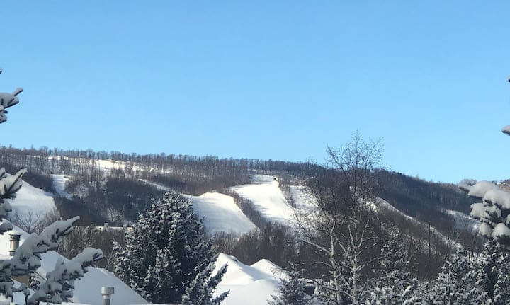 Available For Spring Break 5 Min To Blue Mountain - Collingwood