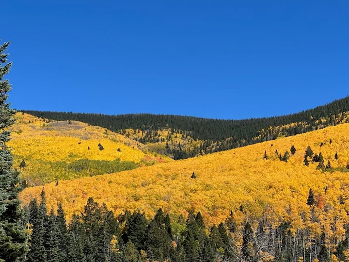 Cozy Adobe - Santa Fe, NM