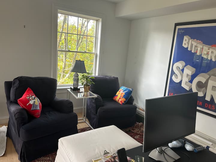 Bright 2-br Condo – Walk To Porter Square - Cambridge, MA