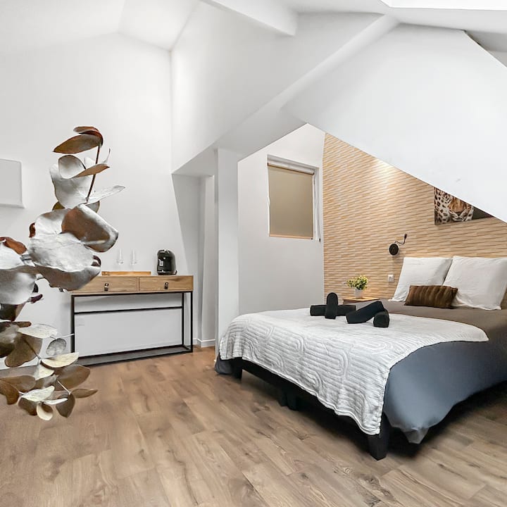 Fibre Ultra-rapide, Lit Queen Size, Cosy & Calme - Tourcoing