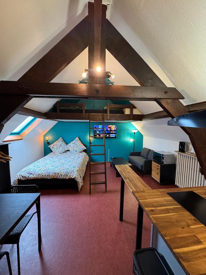 Sous Les Toits, Studio De Charme Et Confortable - Nantes