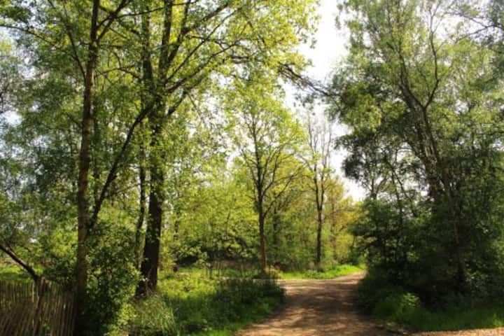 Woodman's Cabin At Wolford Wood - Chipping Norton