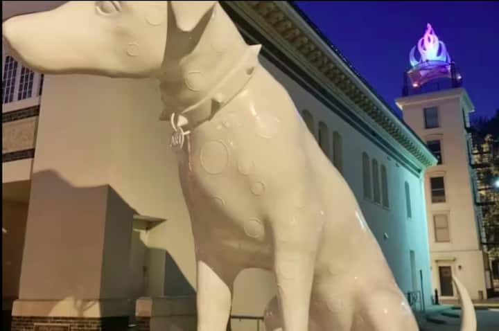 Downtown Historic Firehouse Tower - Shreveport, LA