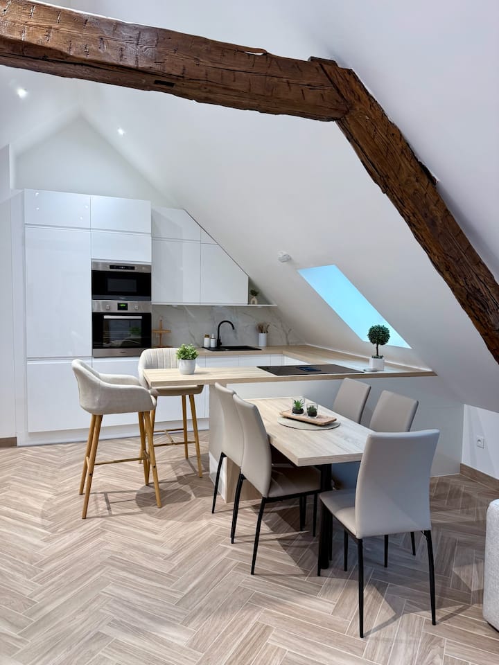 Cocon Moderne Alliant Confort Et Charme - Estrasburgo