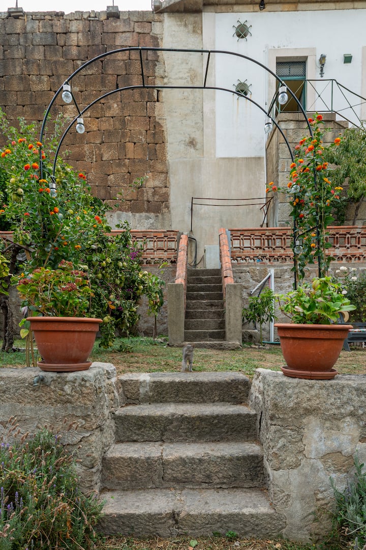 Casa De Santa Rita - Chaves - Chaves