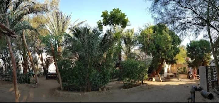 Nour El Gourna - Luxor