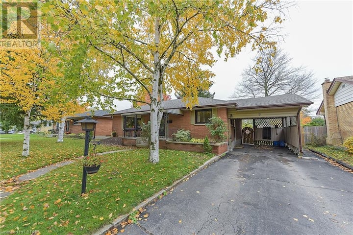 Calming Oasis - Upper - 倫敦