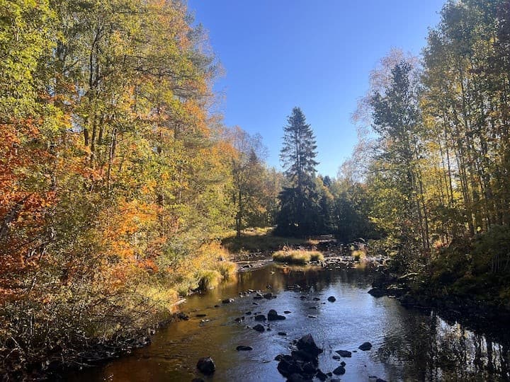 Ett Litet Och Mysigt Boende Mitt I Skogen - Ockelbo