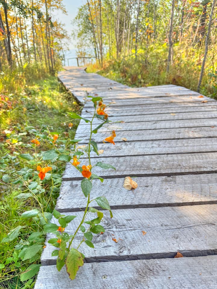 Lakefront Lower 2 Bedroom Condo - Lutsen, MN