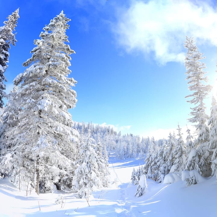 Entre Ville Et Nature - Saguenay