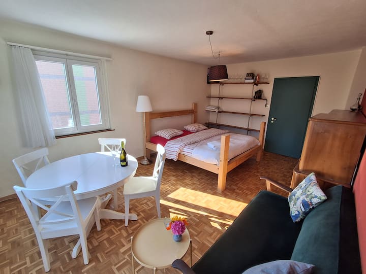 Privet Room With A Beautiful View - Interlaken