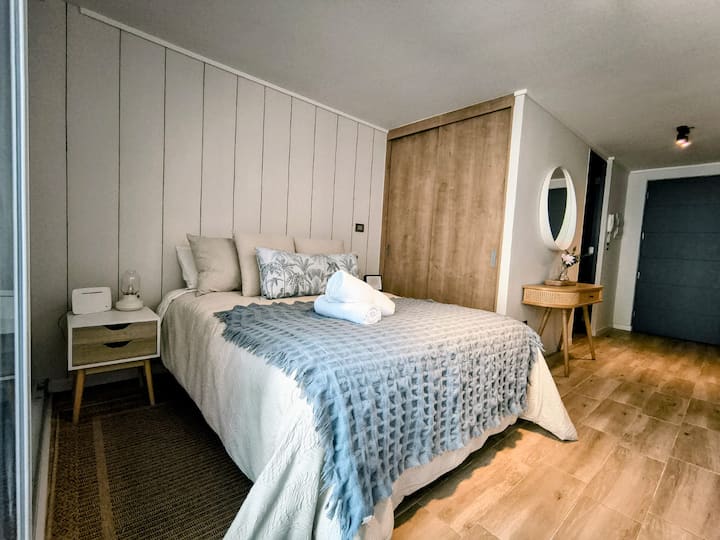 Elegante Depto. En El Centro De Santiago (Wifi) - Chile