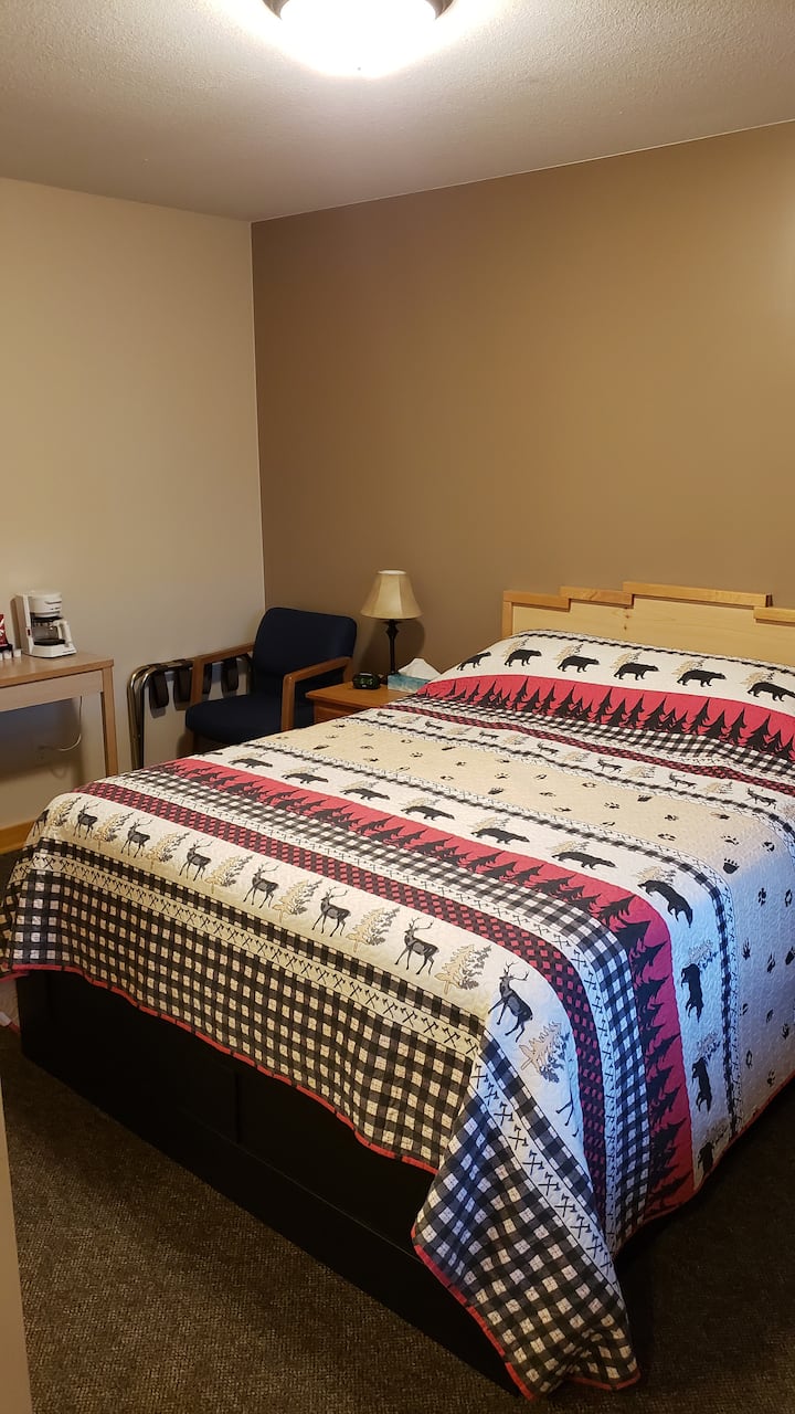 Lower Level Queen Motel Room 16 - Duluth, MN