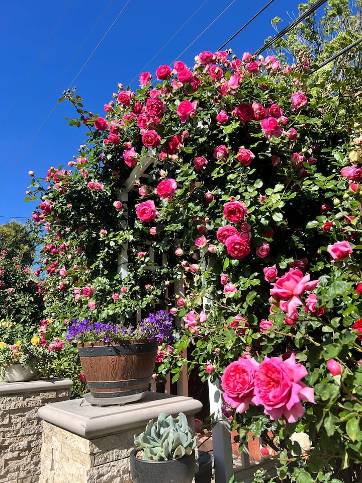 A+location! Modern Home W/garden.3 Mins To Freeway - Milpitas, CA