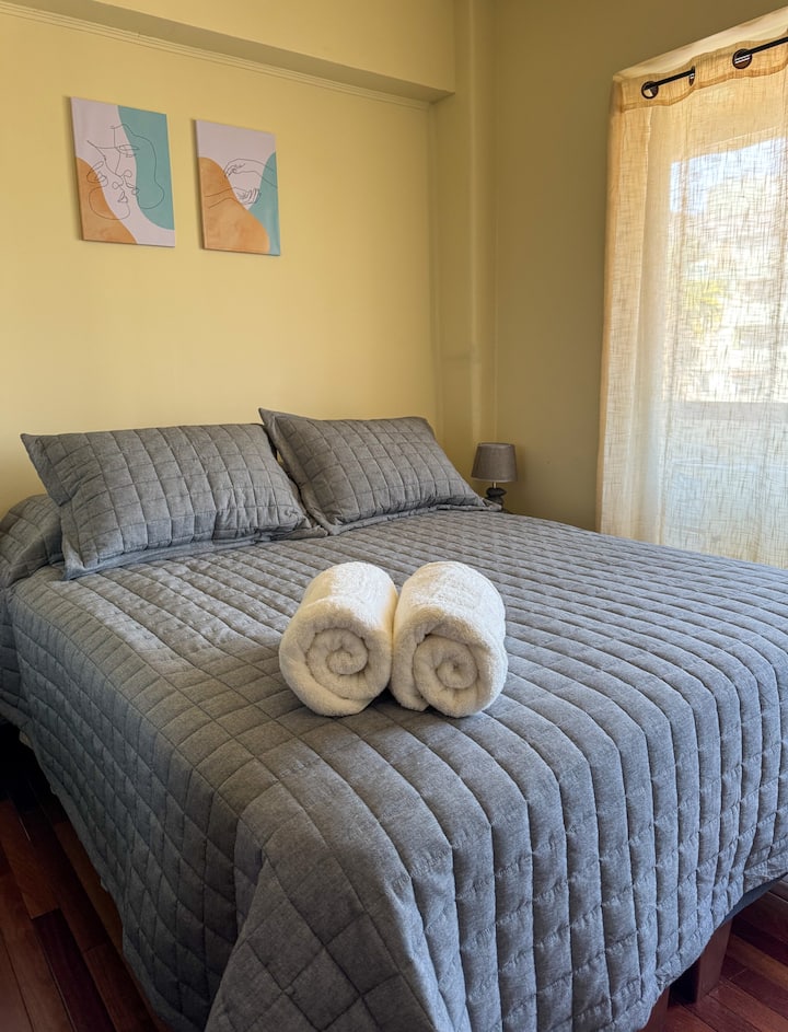 Providencia: ¡A Pasos De Todo! - Santiago