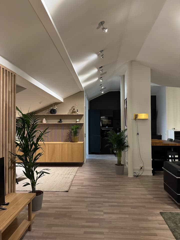 Valoisa Ullakkohuoneisto Helsingin Ytimessä - Helsinki