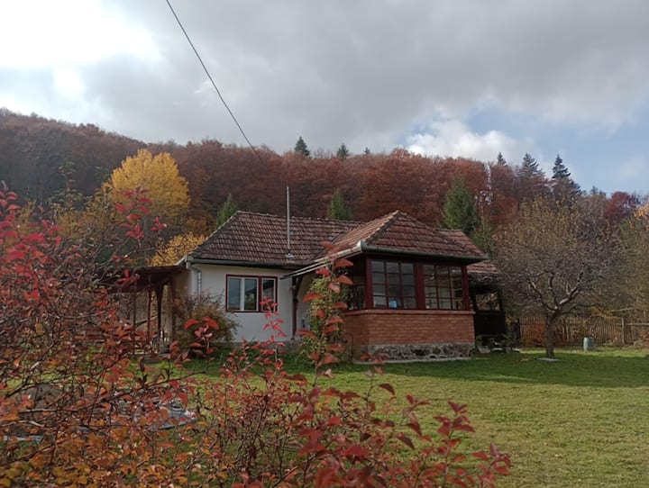 Casa Din Săcădat-szakadáti Vendégház - Sovata