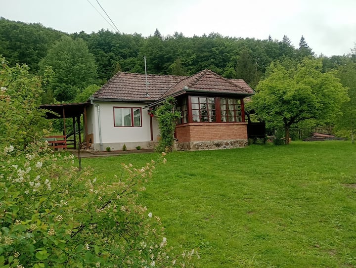 Casa Din Săcădat-szakadáti Vendégház - Sovata