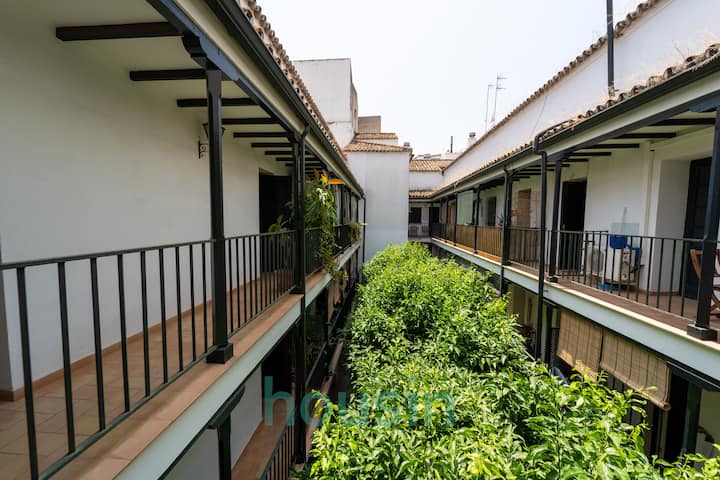 Appartement Centre Historique Alfafa - Siviglia