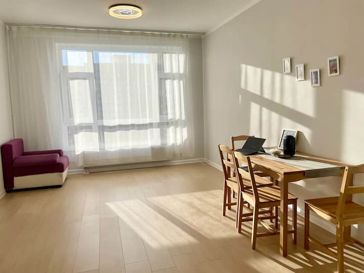 Modern & Cozy 1-bedroom Apartment In Ub City - Mongolia