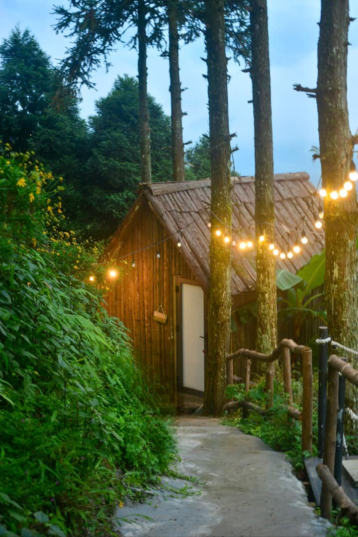 A Hidden Forest Nook 2 - Tỉnh Lai Châu