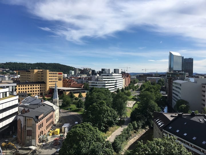 Akerselva Studio With Rooftop Terrace - Oslo