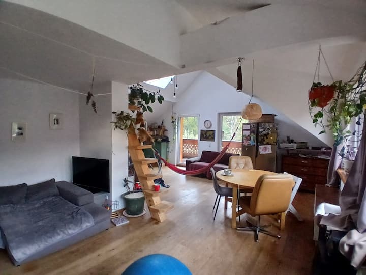 Wohnung Im Salzkammergut - Bad Ischl