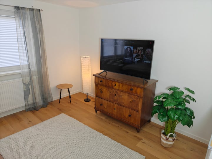 Cozy Modern Apartment In Seelbach Near Europa Park - Schuttertal