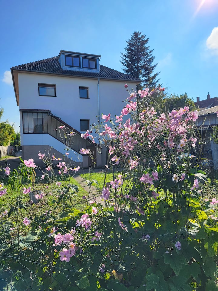 Cozylab Strasbourg : Studio Douillet - Eckbolsheim